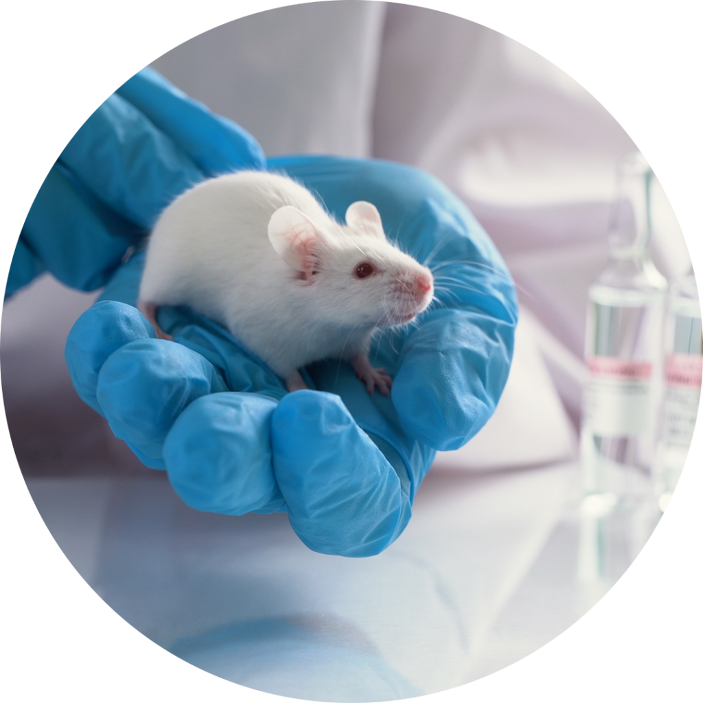 Laboratory & Cleanroom – Main Zone