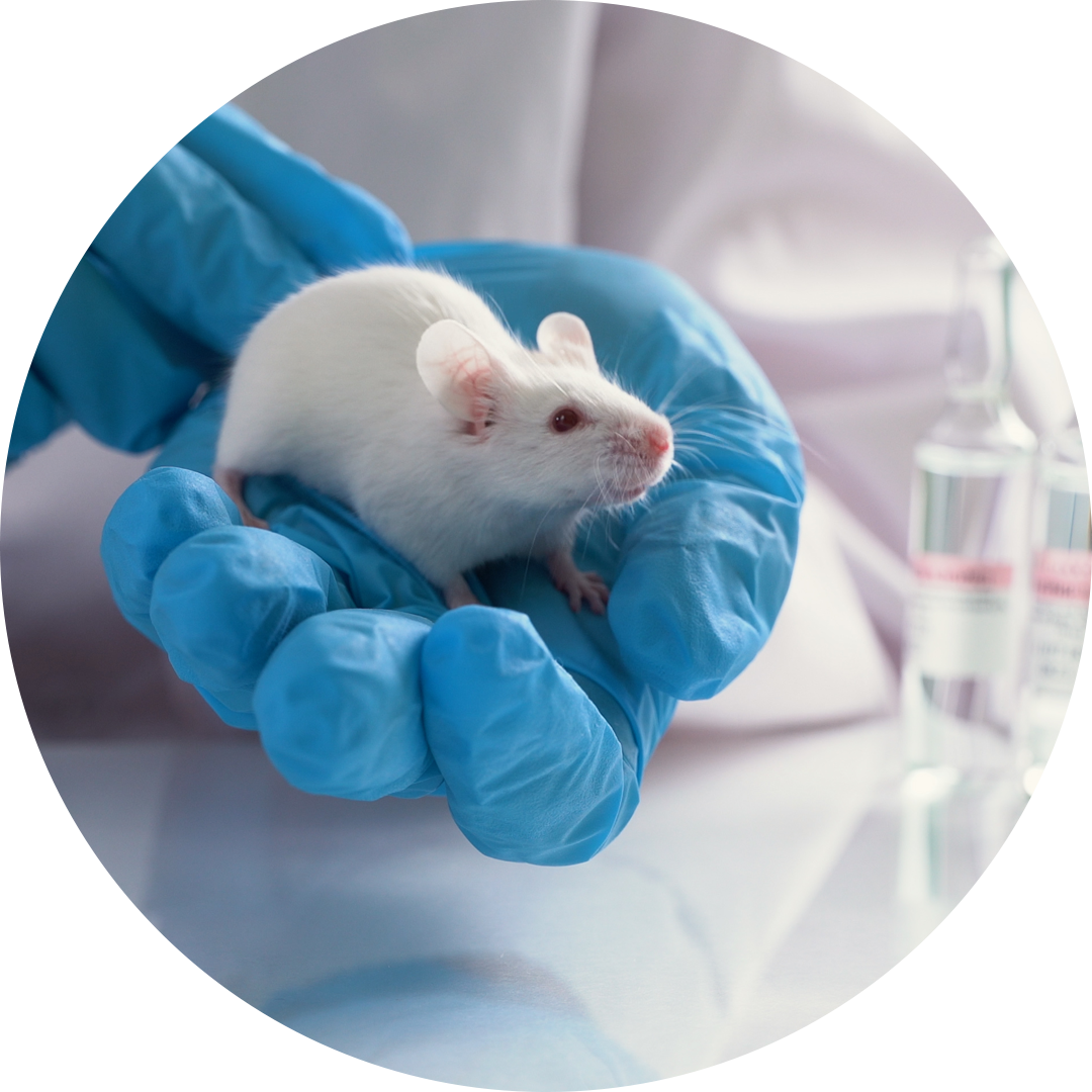 Laboratory & Cleanroom – Main Zone